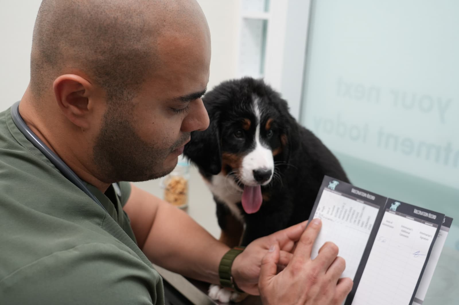 Breeding & Pregnancy Vet Care | Beach Avenue Animal Hospital